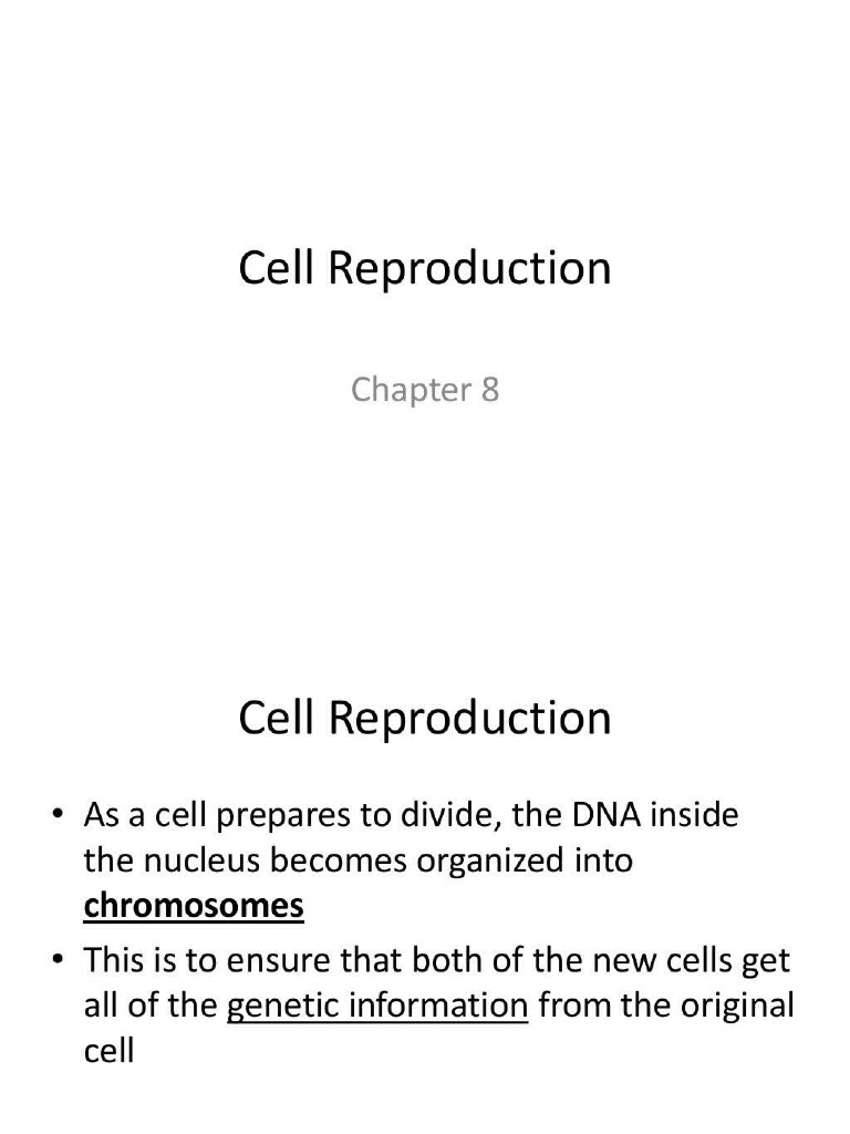 Cell Reproduction Notes | PDF