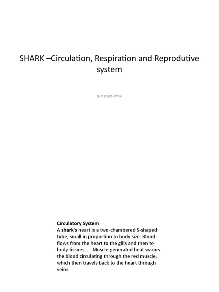 SHARK - Circulation, Respiration and Reprodutive System: Dr.M ...