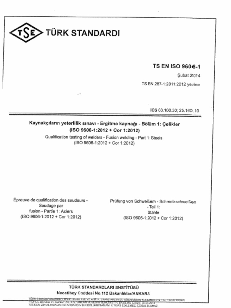 TS EN ISO 9606-1 | PDF