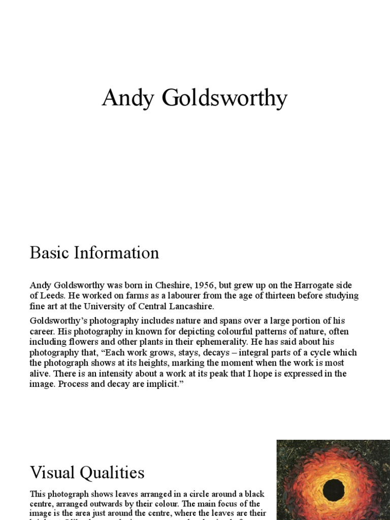 Andy Goldsworthy Wip | PDF