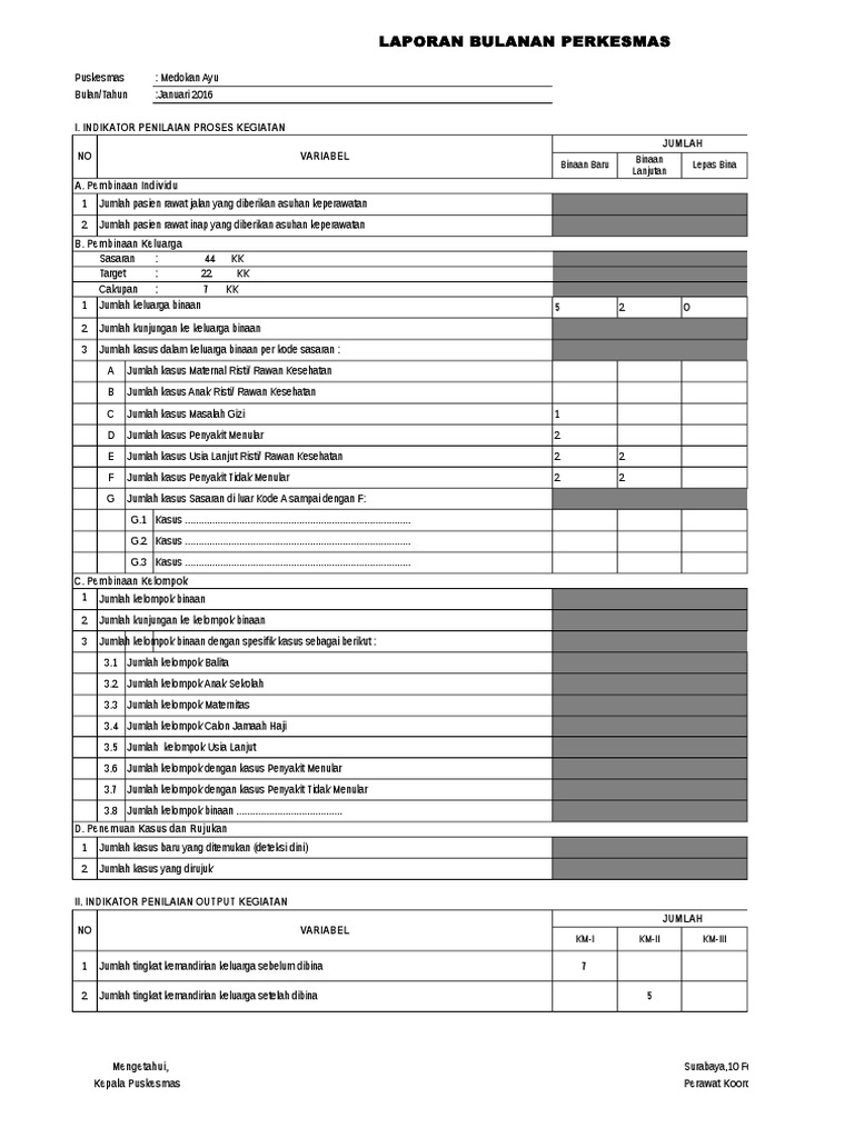 Form Laporan Perkesmas Untuk Puskesmas Dan Dinkes Rev 8 Jan | PDF