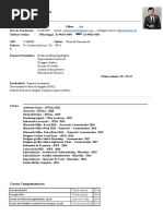 Modelo de Currículo CV | PDF | Angola