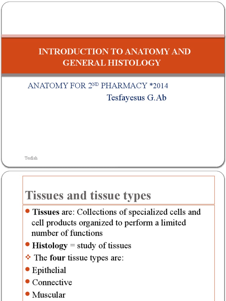 Anatomy Basics for Pharmacy Students | PDF | Epithelium | Anatomical ...