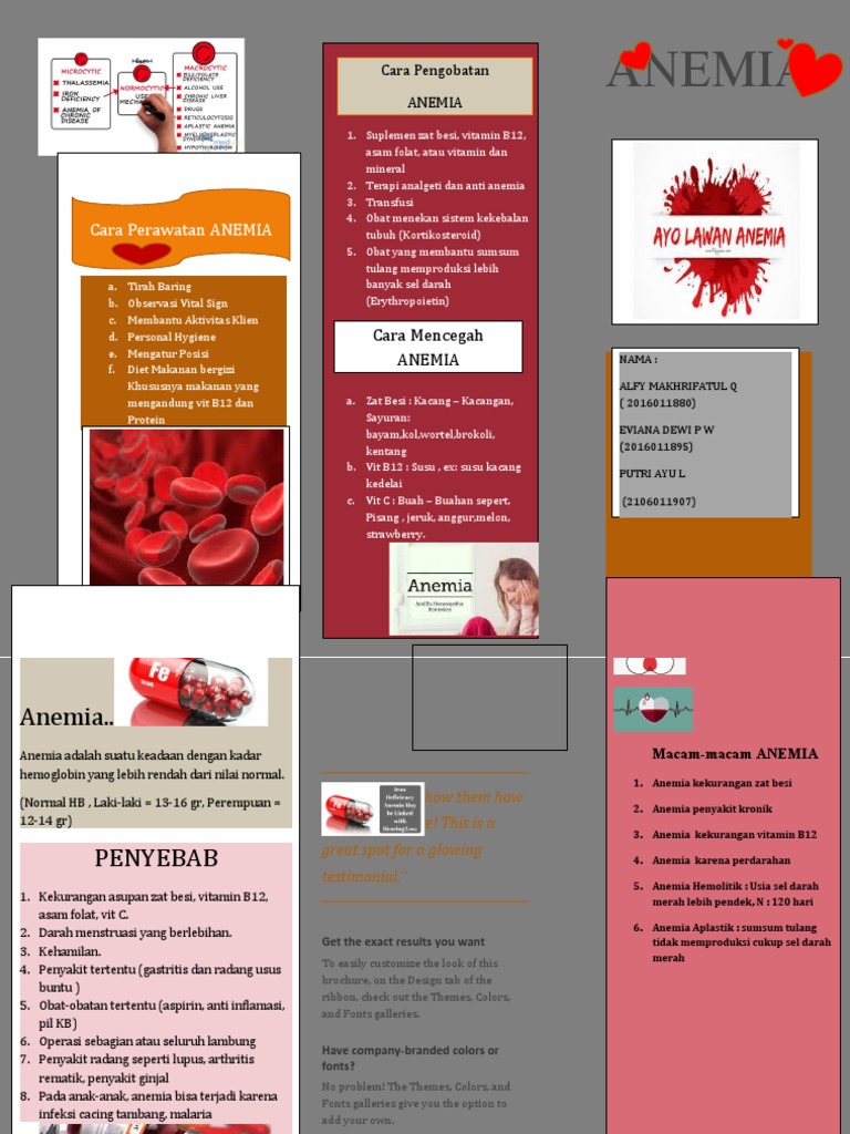 Leaflet Anemia 1 | PDF