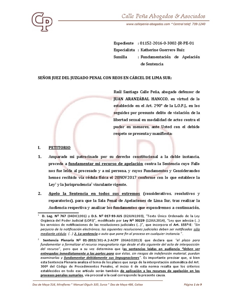 Modelo de Apelación de Sentencia Condenatoria Por Tocamientos Indebidos ... Modelo de Apelación de Sentencia Condenatoria Por Tocamientos Indebidos ...