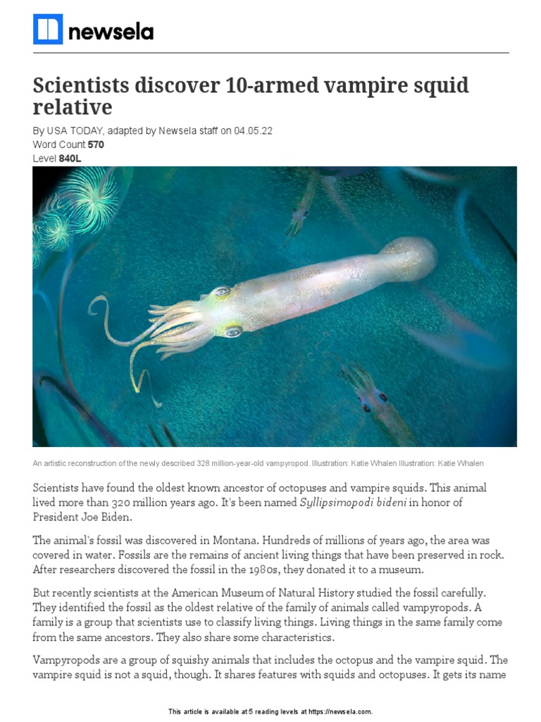 Scientists Discover 10-Armed Vampire Squid Relative | Download Free PDF ...