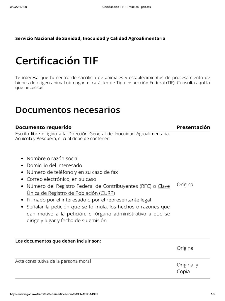 Certificación TIF | PDF