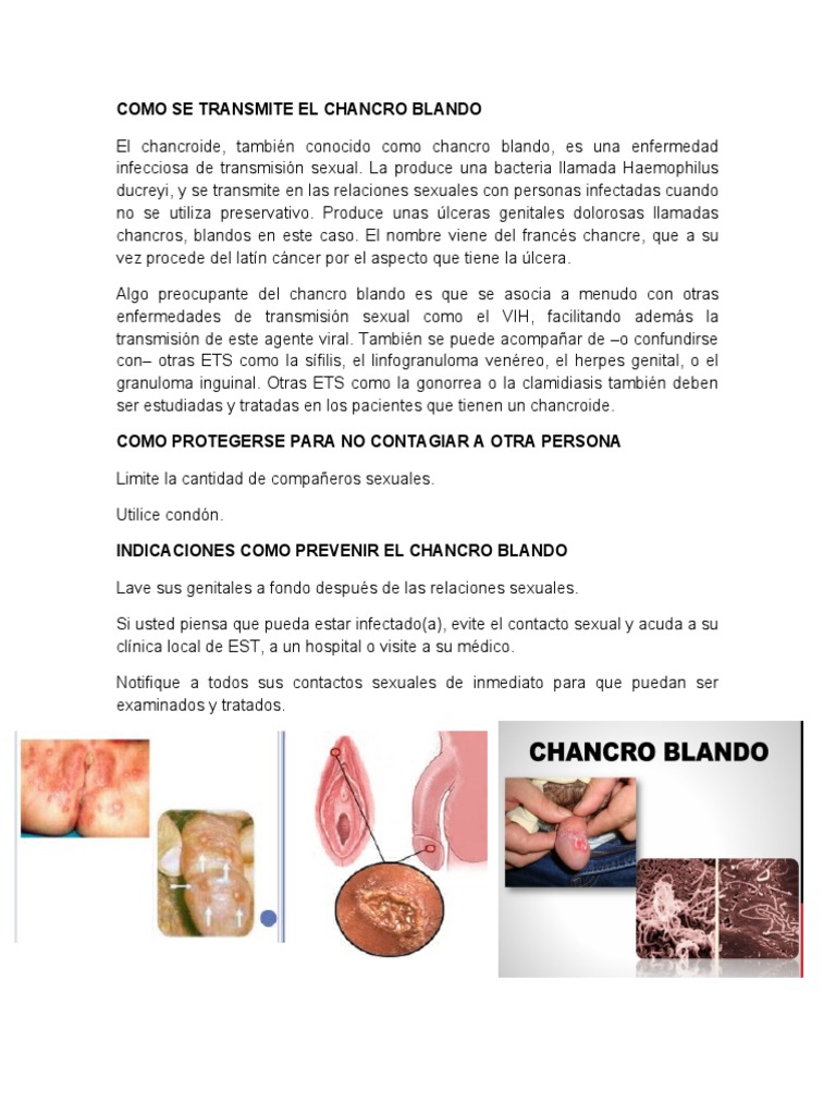 Chancro Blando: Transmisión y Prevención | PDF | Ciencias sociales ...