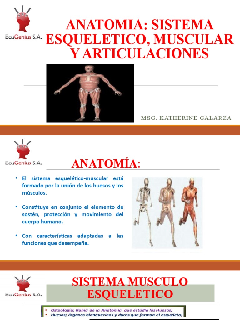 Sistema Músculoesqueletico Ped. | PDF | Hueso | Articulación