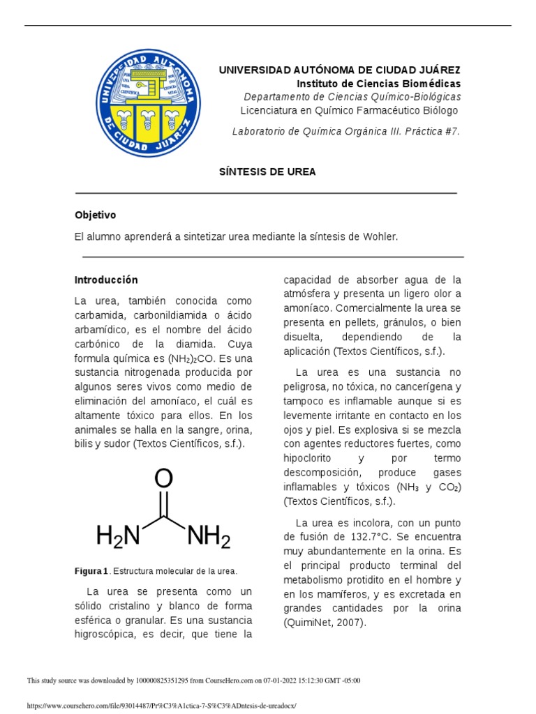 PR Ctica 7. S Ntesis de Urea | PDF | Urea | Amoníaco
