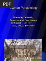 MCQ Parasitology | PDF | Parasitism | Plasmodium
