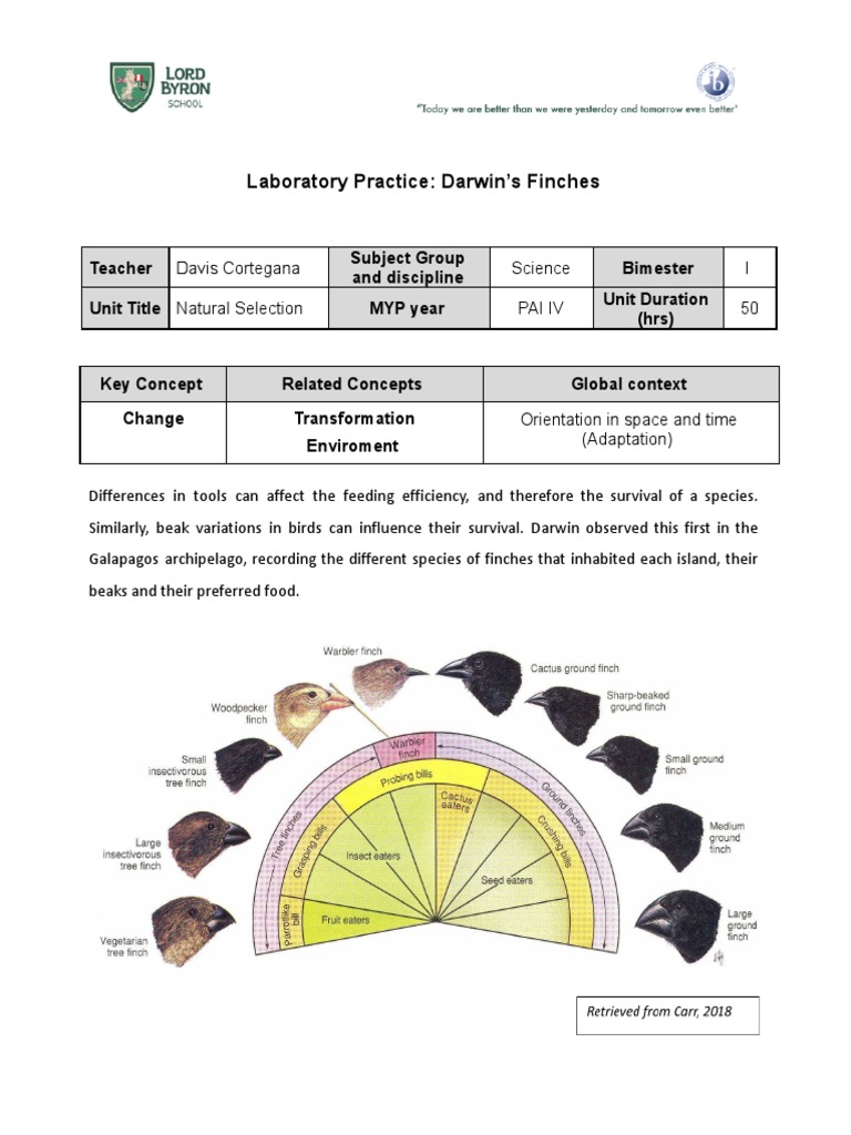 Lab 01 - 8vo Darwin's Finches - Diana Macedo | PDF | Adaptation ...