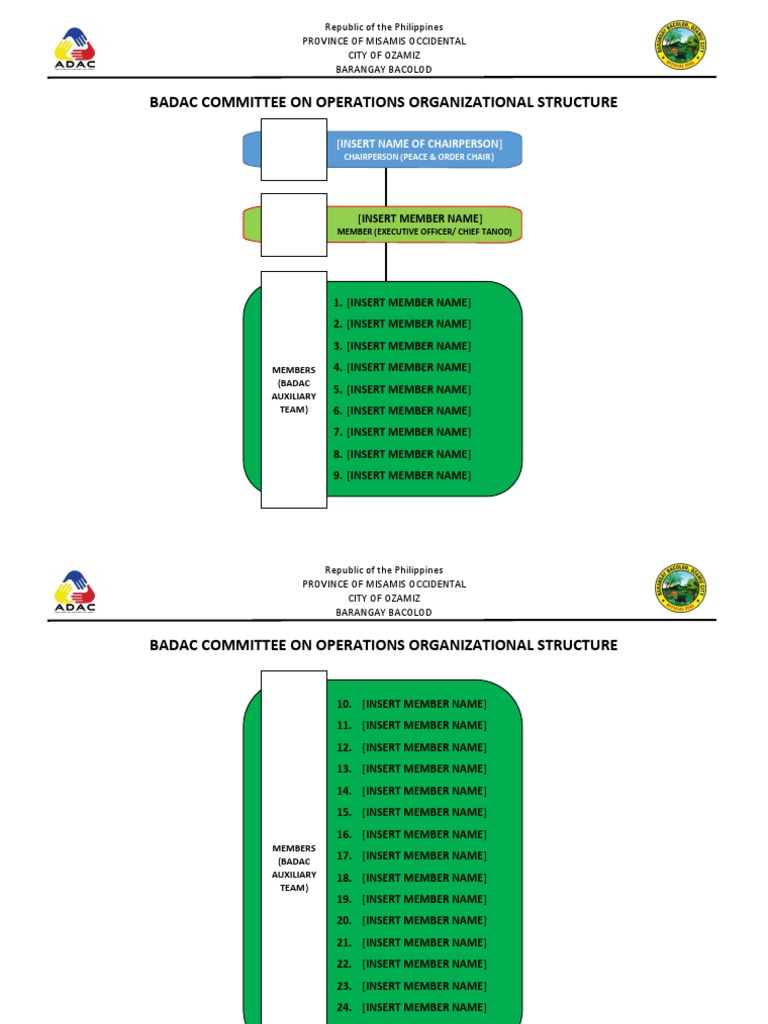 Badac Organizational Structure | PDF | Meetings | Positions Of Authority