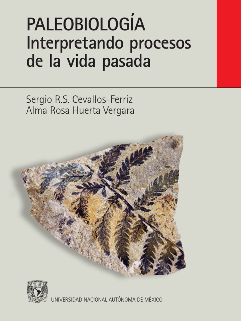 Paleobiologia Interpretando Procesos PP | PDF | Paleontología | Biología