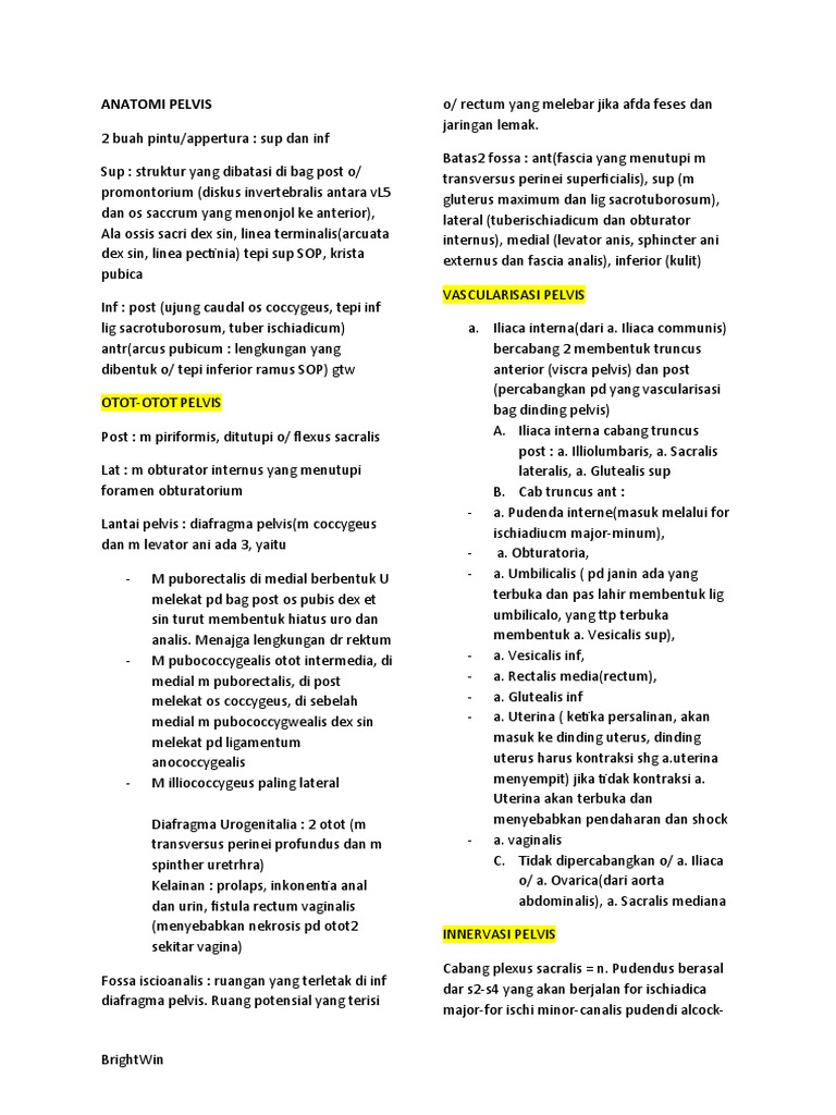 Anatomi dan Vaskularisasi Pelvis | PDF