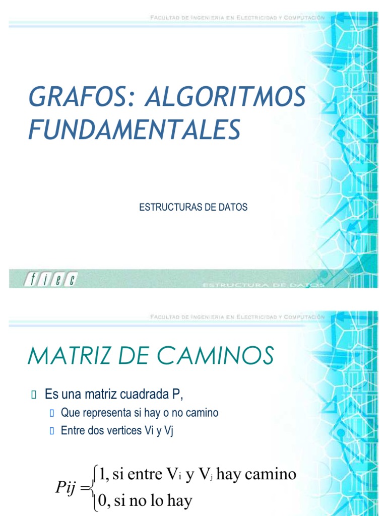Algoritmos Con Grafos | PDF