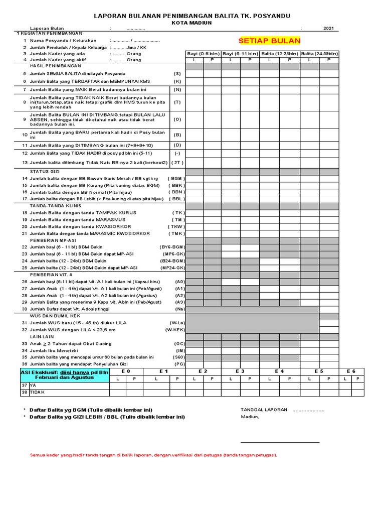 Form Laporan Kader Balita | PDF