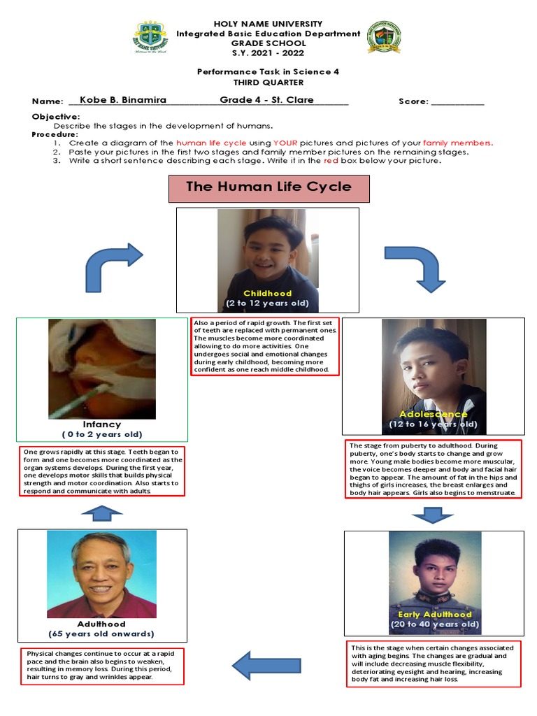 The Human Life Cycle: Kobe B. Binamira Grade 4 - St. Clare | PDF ...