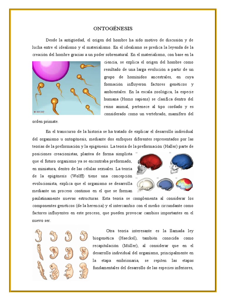 5 Ontogénesis | PDF | Evolución | Organismos