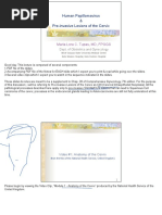 Cervical Anatomy and Histology Overview | PDF | Epithelium | Histology