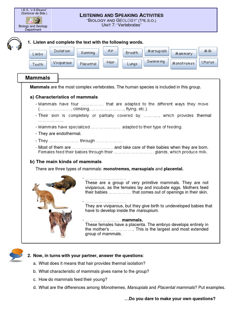 Mammals | PDF | Mammals | Marsupials