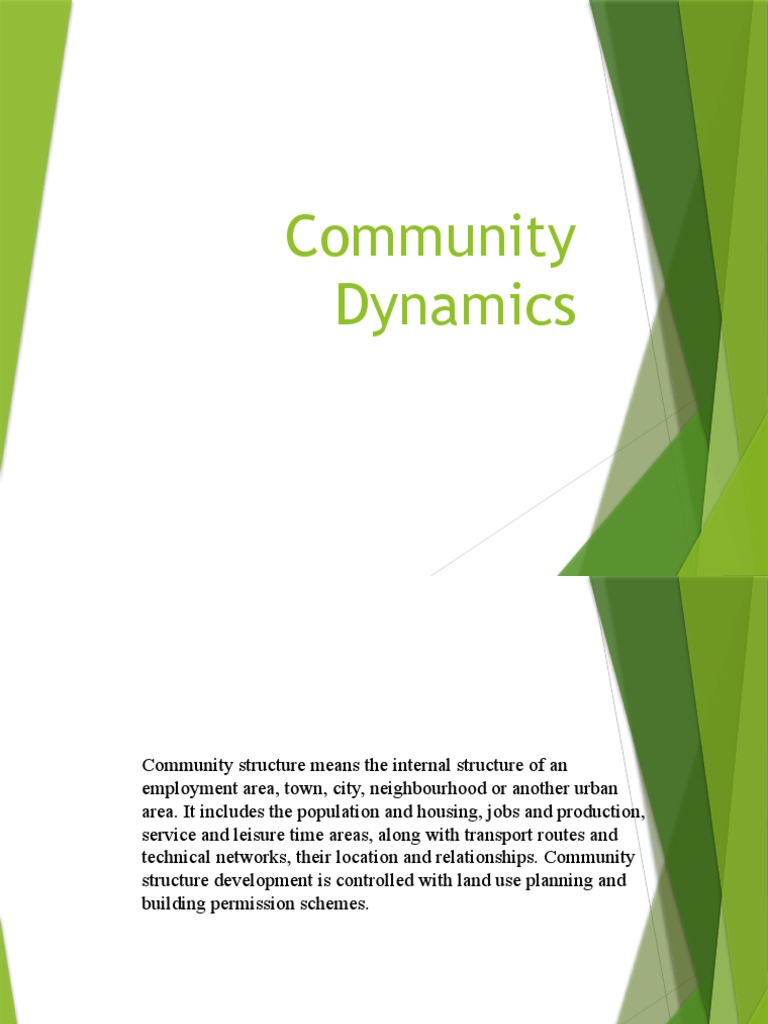 Community Dynamics Pdf Empowerment Community