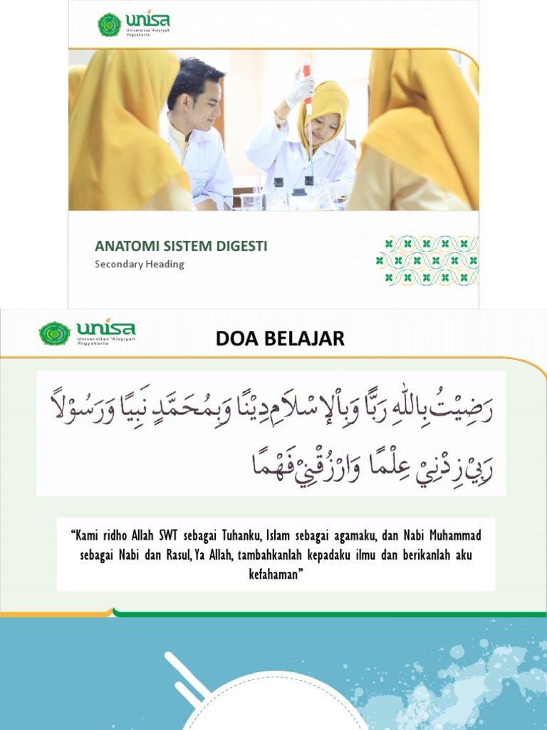 Anatomi DIGESTI | PDF