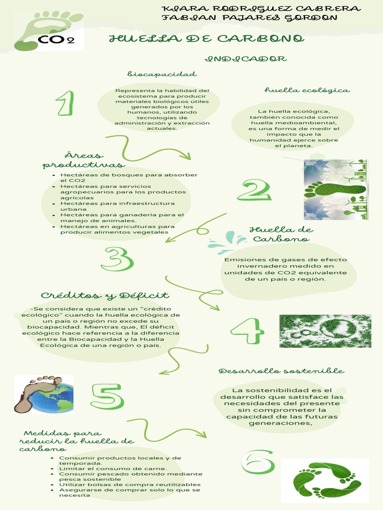 Infografía Huella de Carbono | PDF | Sustentabilidad | Desarrollo sostenible