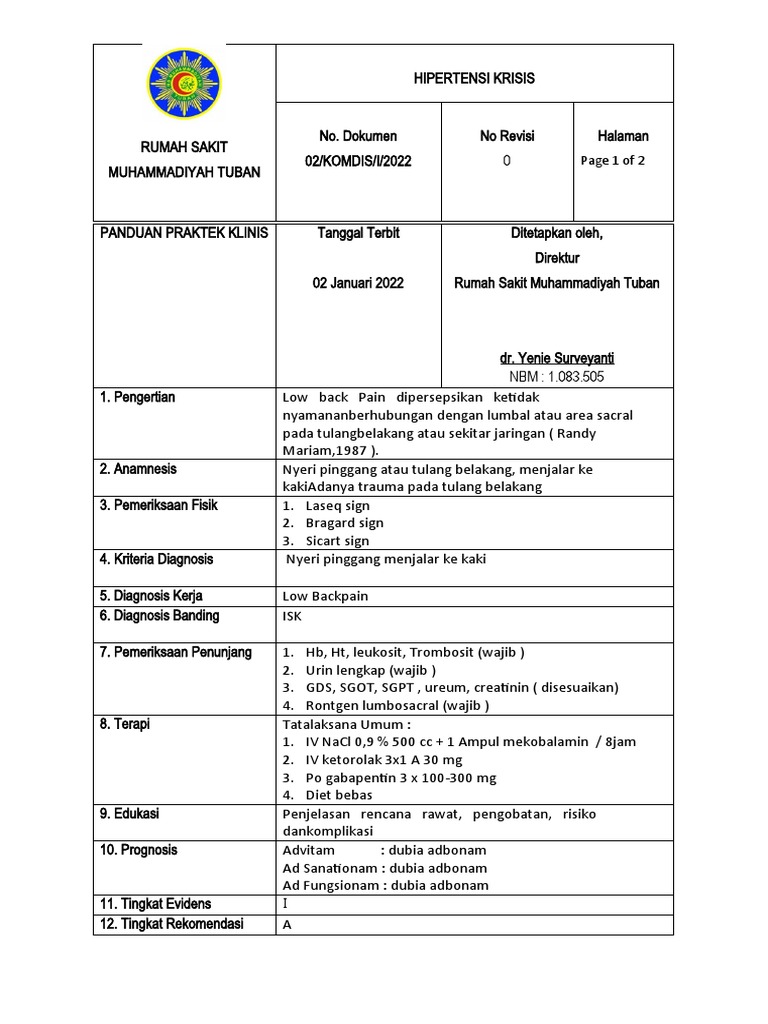 Format PPK Low Back Pain | PDF