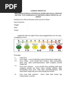 Skala Nyeri Numeric Rating Scale (NRS) | PDF