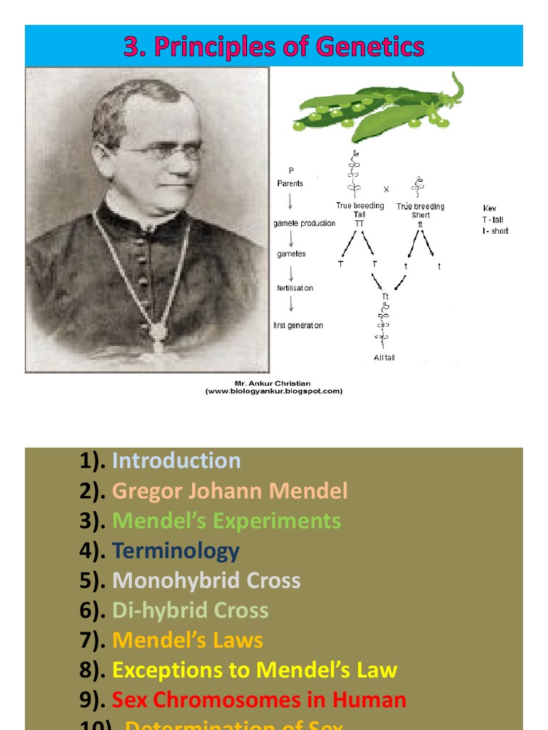 Chapter 3. Principles of Genetics_Introduction | Zygosity | Heredity