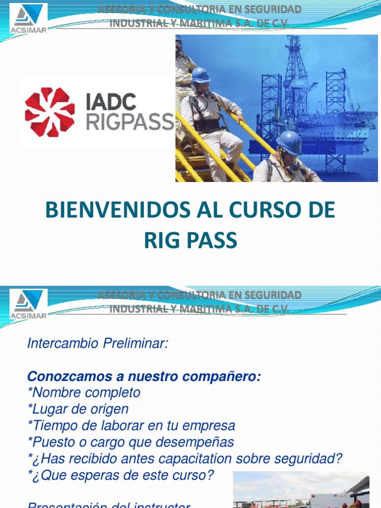 Rig Pass | PDF | Sustancias químicas | Química