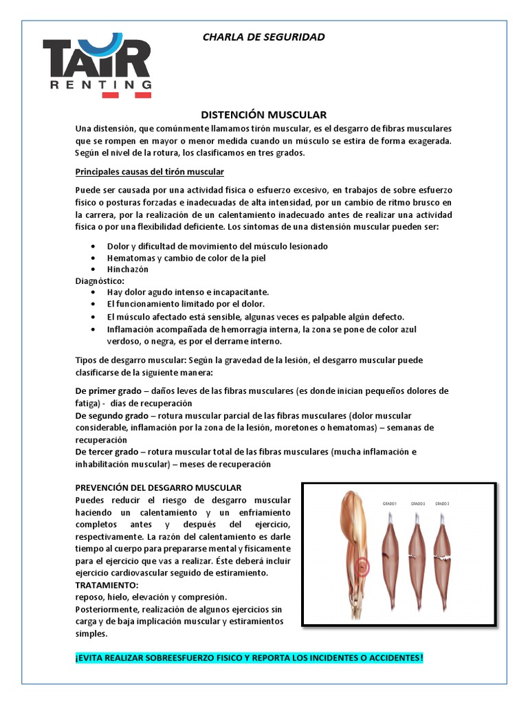 Distension Muscular | PDF