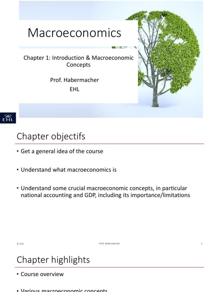 Macroeconomics: Chapter 1: Introduction & Macroeconomic Concepts | PDF | Gross Domestic Product ...