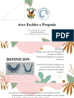 Arco Transpalatino en Ortodoncia | PDF | Ramas de Odontología
