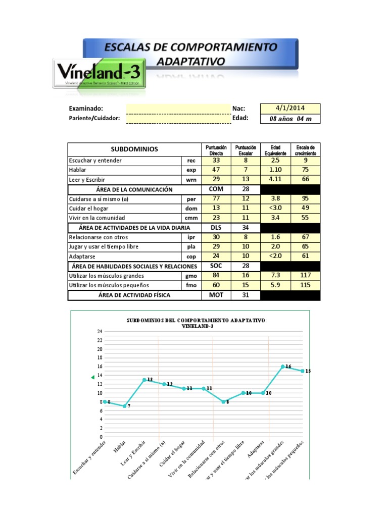 Vineland 3 Excell | PDF | Microsoft Excel | Informática