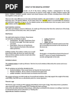 206 Human Bones Detailed Chart | PDF