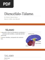 Irrigación Cerebral: Anatomía Detallada | PDF | Cerebelo | Cerebro