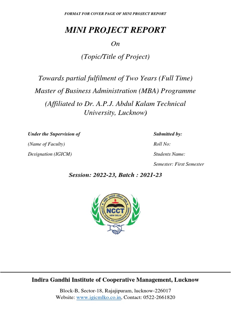 Instructions For Mini Project-1-1 | PDF | Times New Roman | Master Of ...