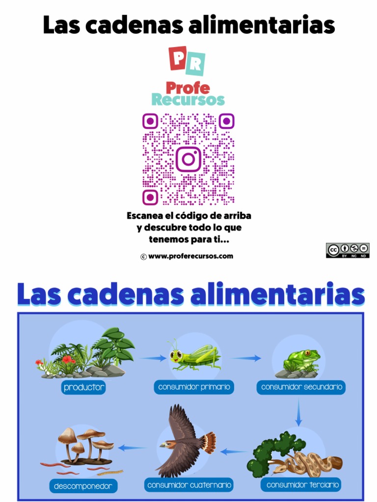 Las Cadenas Alimentarias | PDF
