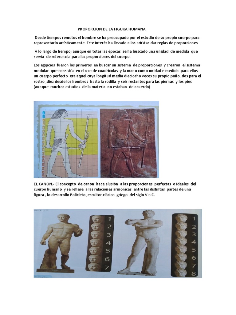 Proporcion De La Figura Humana Pdf Escultura