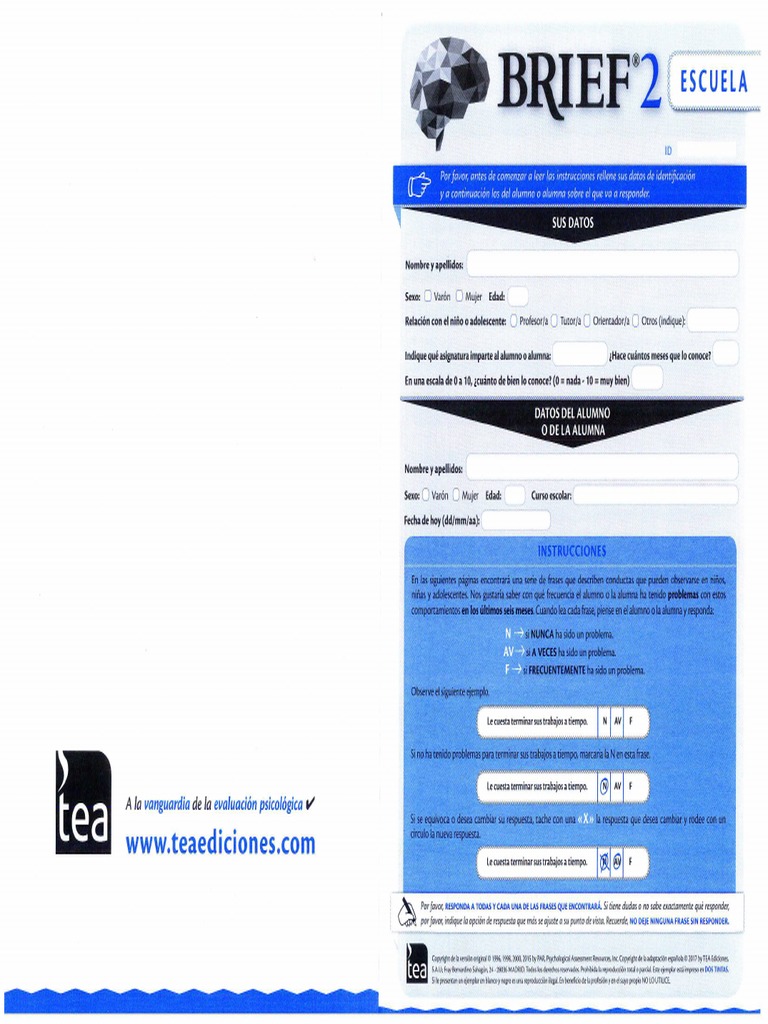 Brief 2 - Escuela | PDF