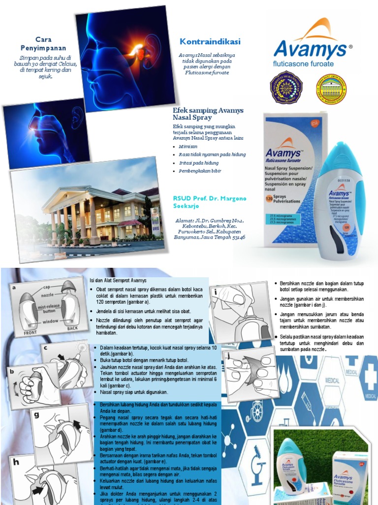 Leaflet Avamys | PDF