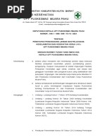 PDF Form Kuesioner Pra Skrining Perkembangan Kpsp | PDF