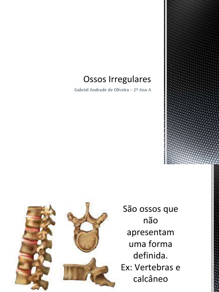 Ossos Irregulares | PDF