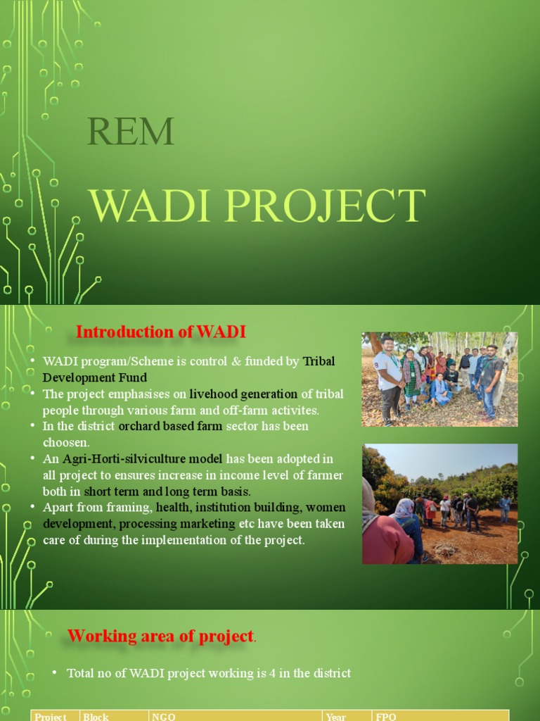 Wadi Project | PDF | Agriculture | Economies