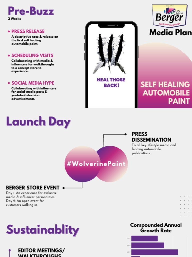 Pre-Buzz Pre-Buzz: Media Plan | PDF