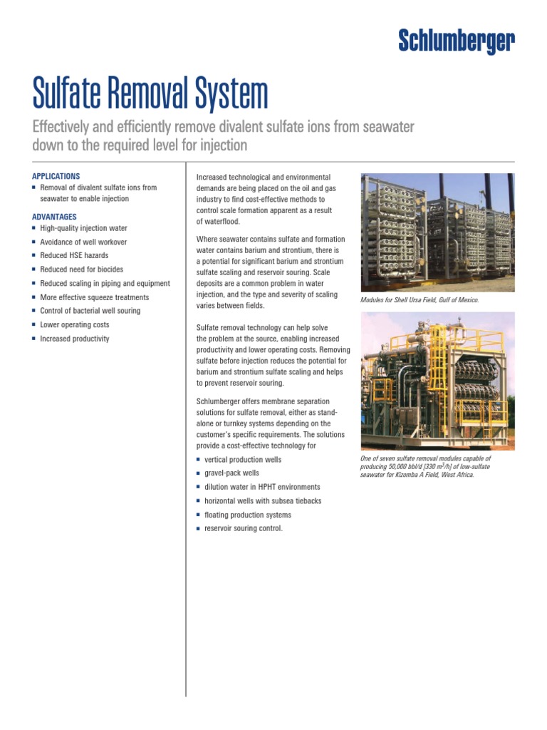 Sulfate Removal System Ps | PDF | Magnesium | Membrane