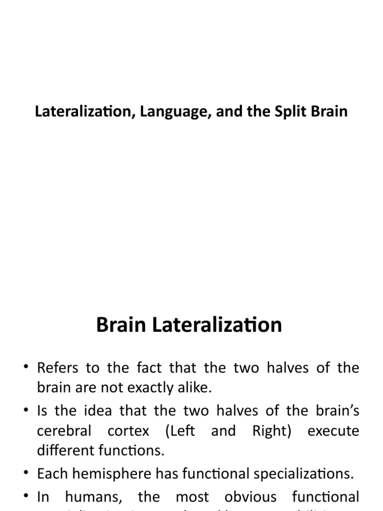 Lateralization Language And The Split Brain Pdf Lateralization Of