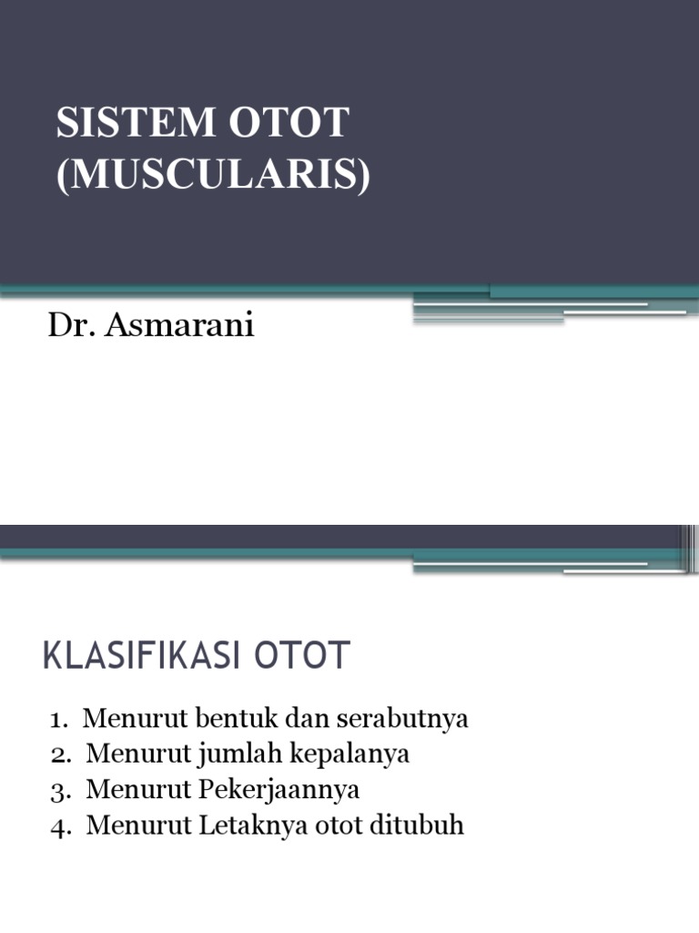 Klasifikasi dan Fungsi Otot | PDF